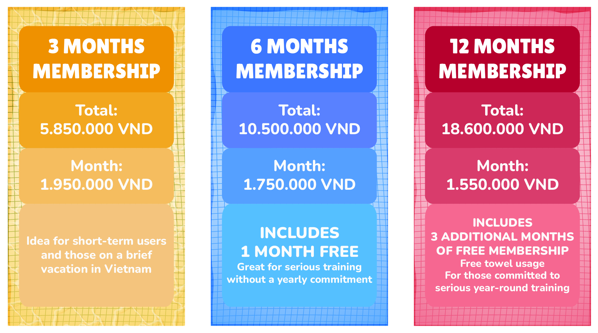 Octopool - Swimming Pool in Tay Ho - Ha Noi - Octopool Swim School