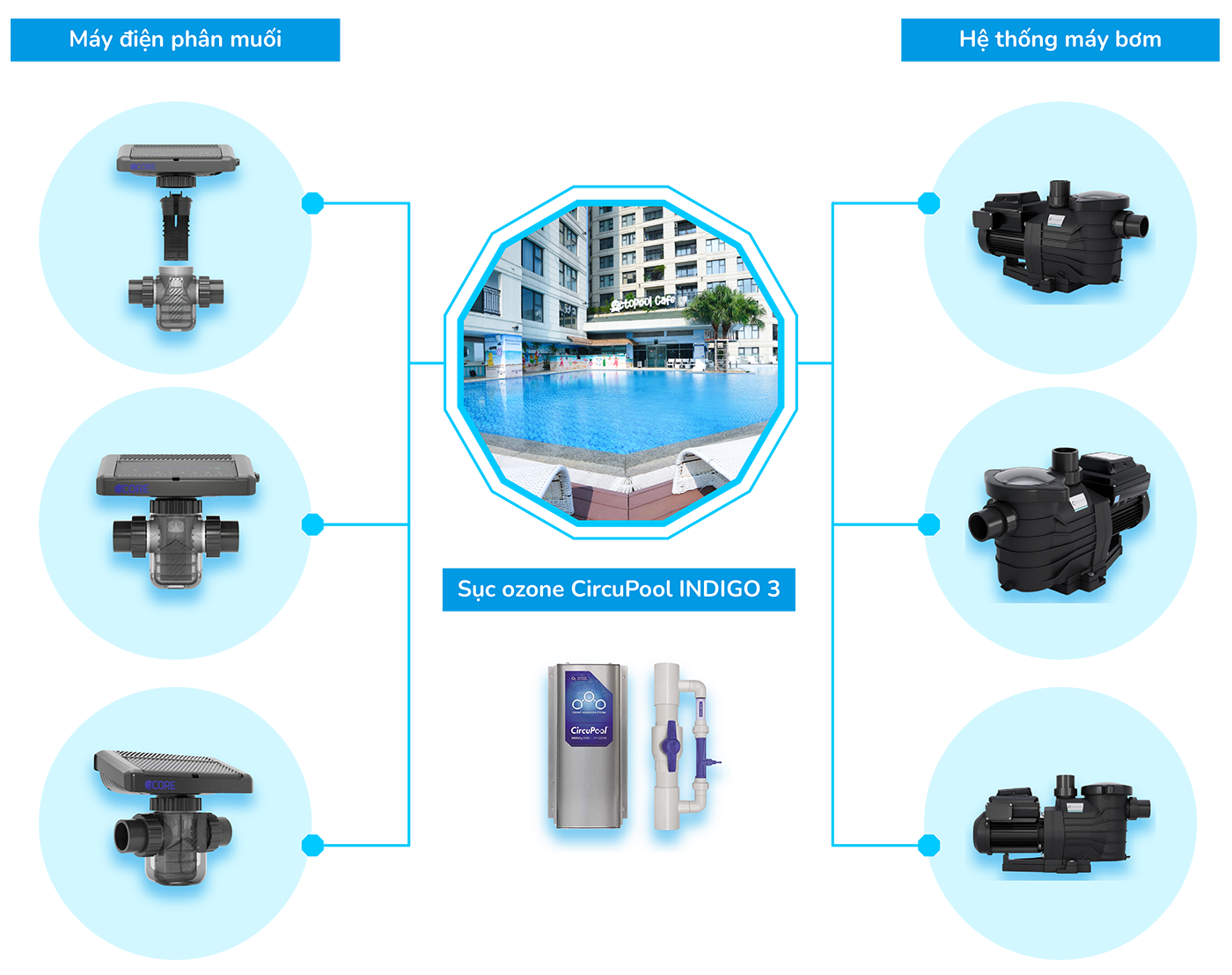 Octopool Swim School- Trường bơi sinh tồn chuẩn Mỹ - Octopool Swim School